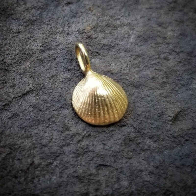 Gold Seashell - Etsy