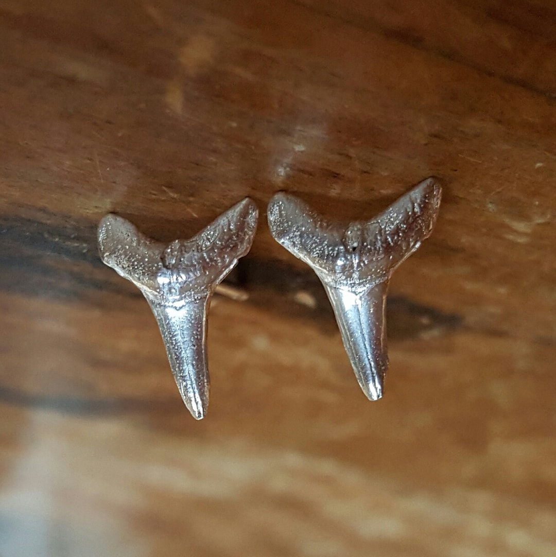 Sharktooth Earrings, Shark Tooth Stud Earrings, Sharktooth Studs ...