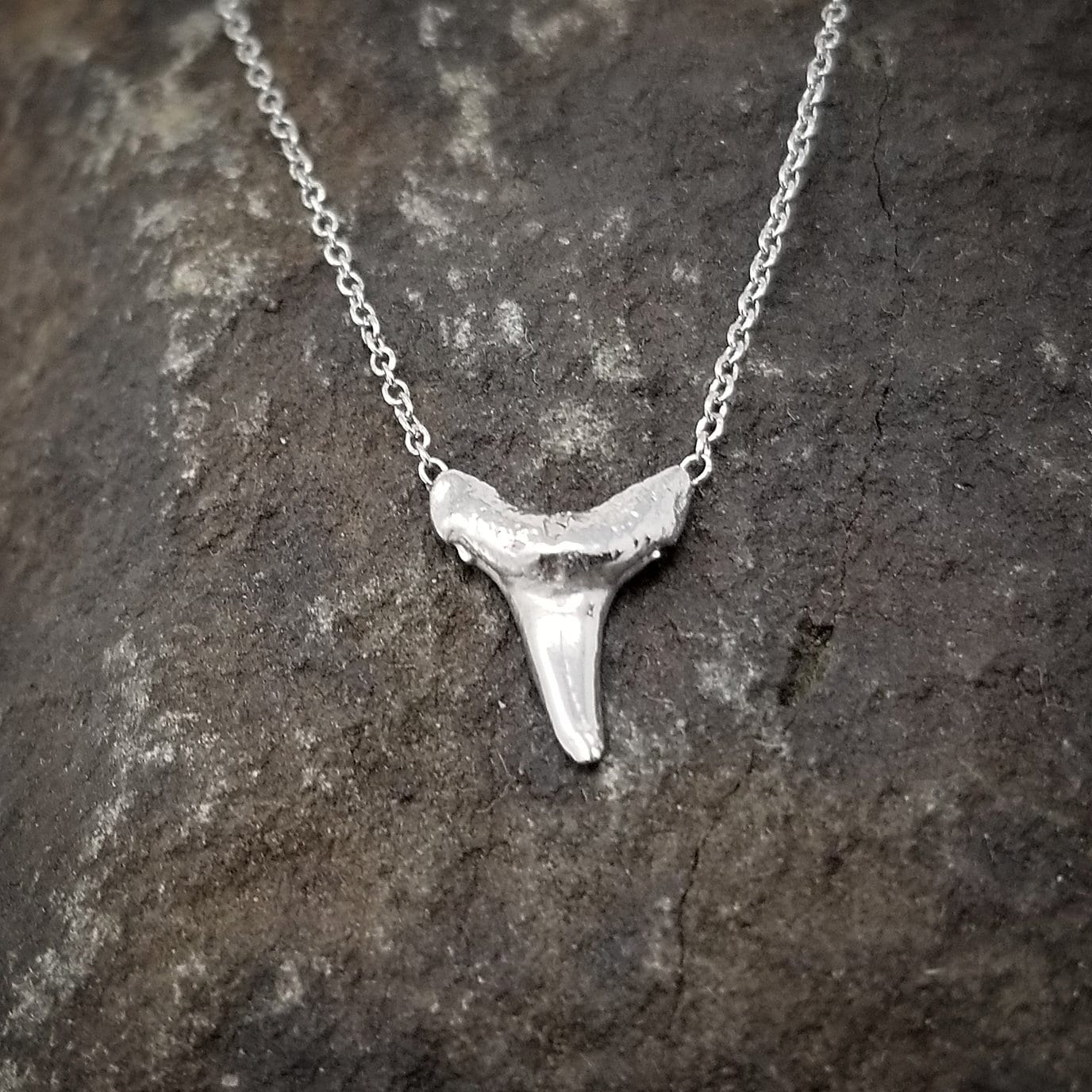 14K Gold Sharktooth Necklace 14K White Gold Sharktooth | Etsy