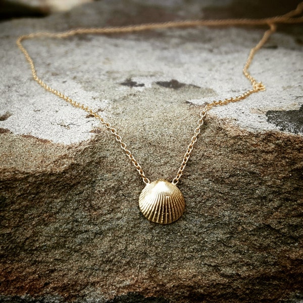 Gold Shell Necklace - Etsy