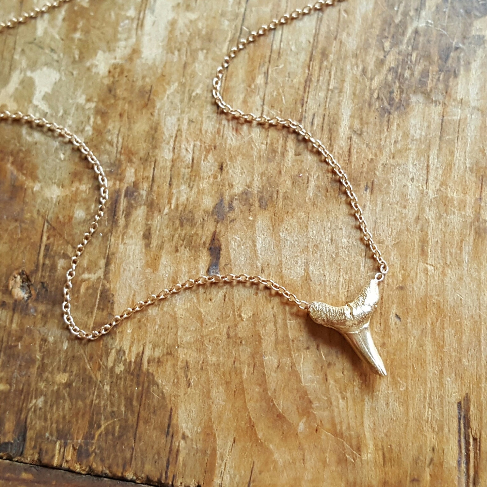 14K Gold Shark Tooth Necklace Rose Gold Shark Tooth | Etsy