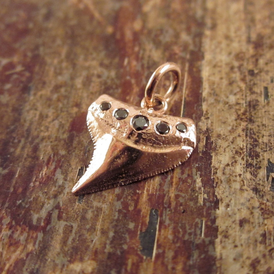 14K Rose Gold Shark Tooth Pendant 14K Gold Shark Tooth Charm - Etsy