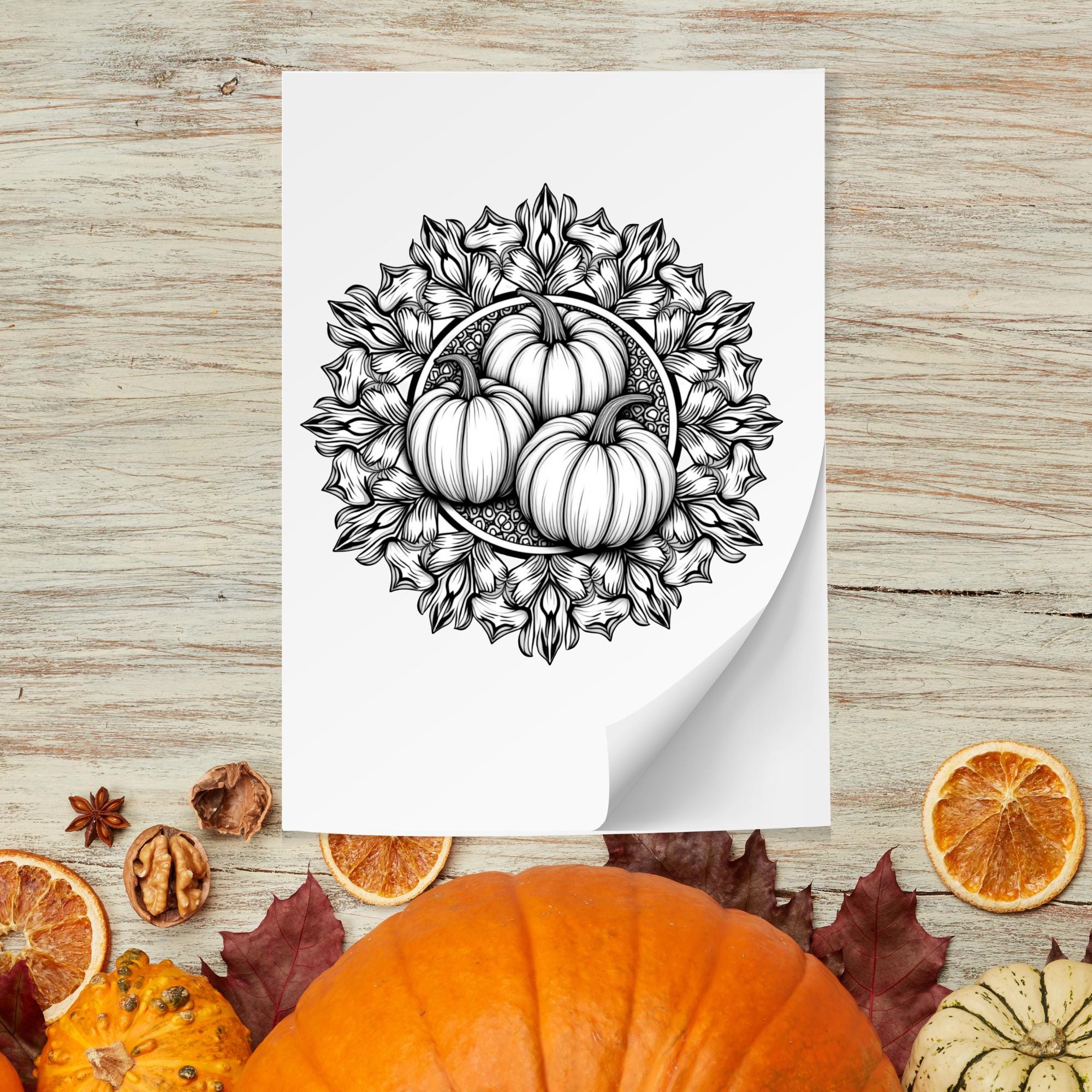 13 Pumpkin Coloring Pages – Pumpkins Printable Mandala Designs | Fall ...