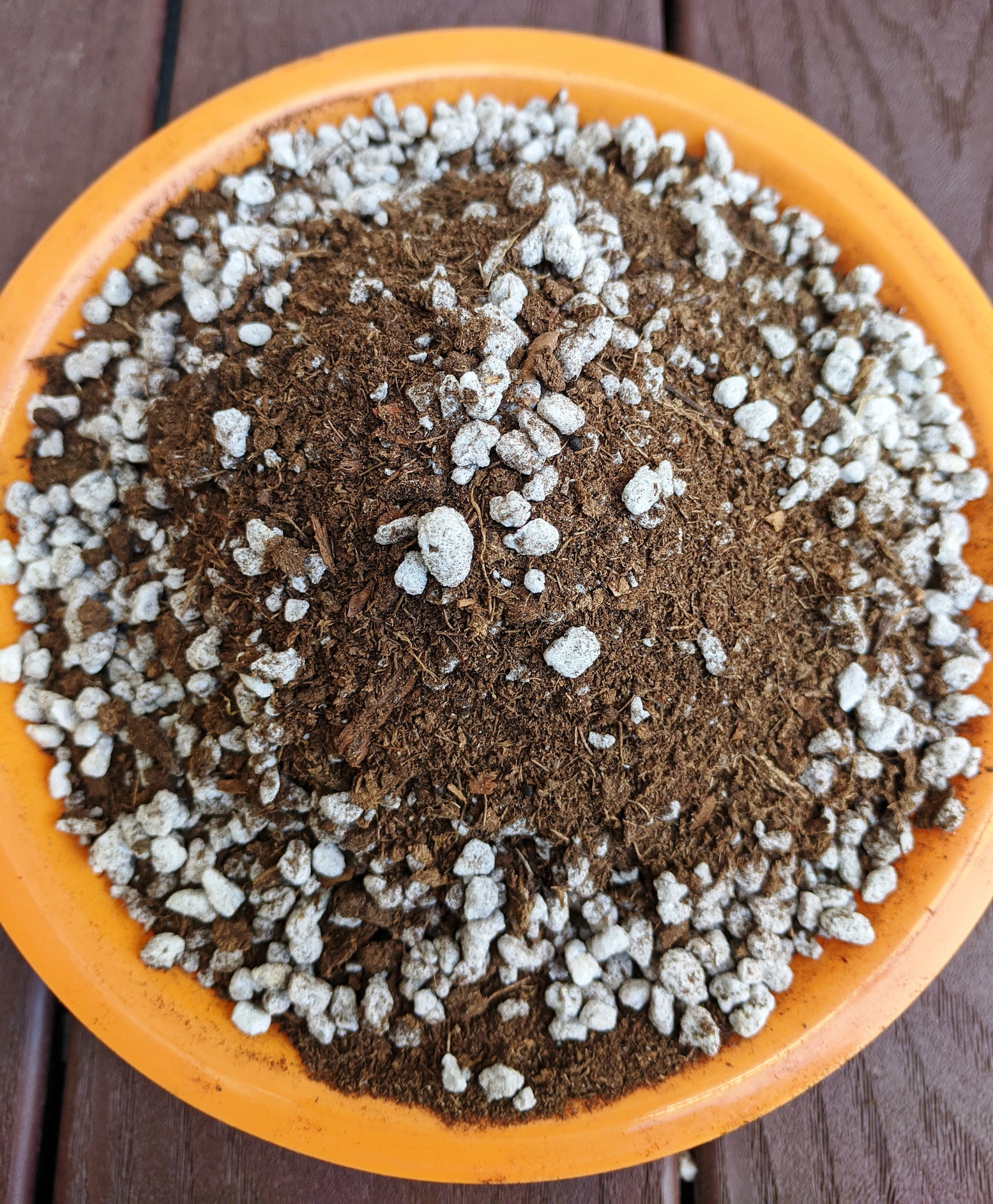 African Violet Soil Mix: Peat Moss & Perlite, Houseplant Potting Soil ...