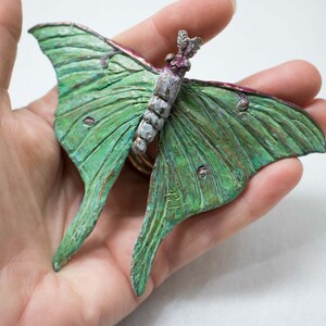 Bronze Luna Moth Sculpture - Etsy