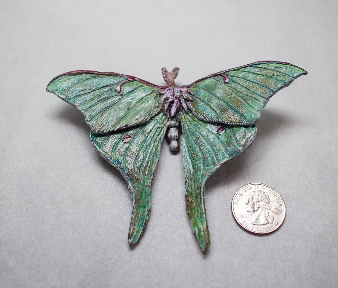 Bronze Luna Moth Sculpture - Etsy