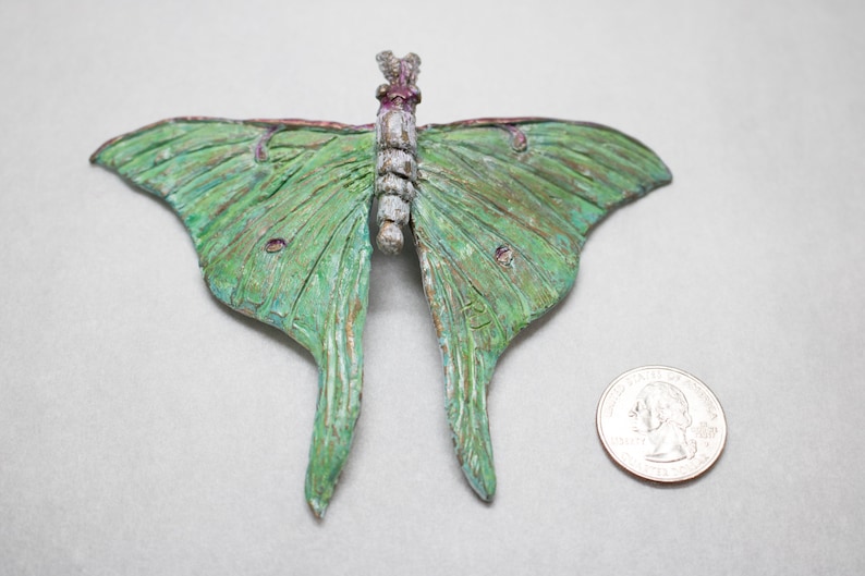 Bronze Luna Moth Sculpture - Etsy