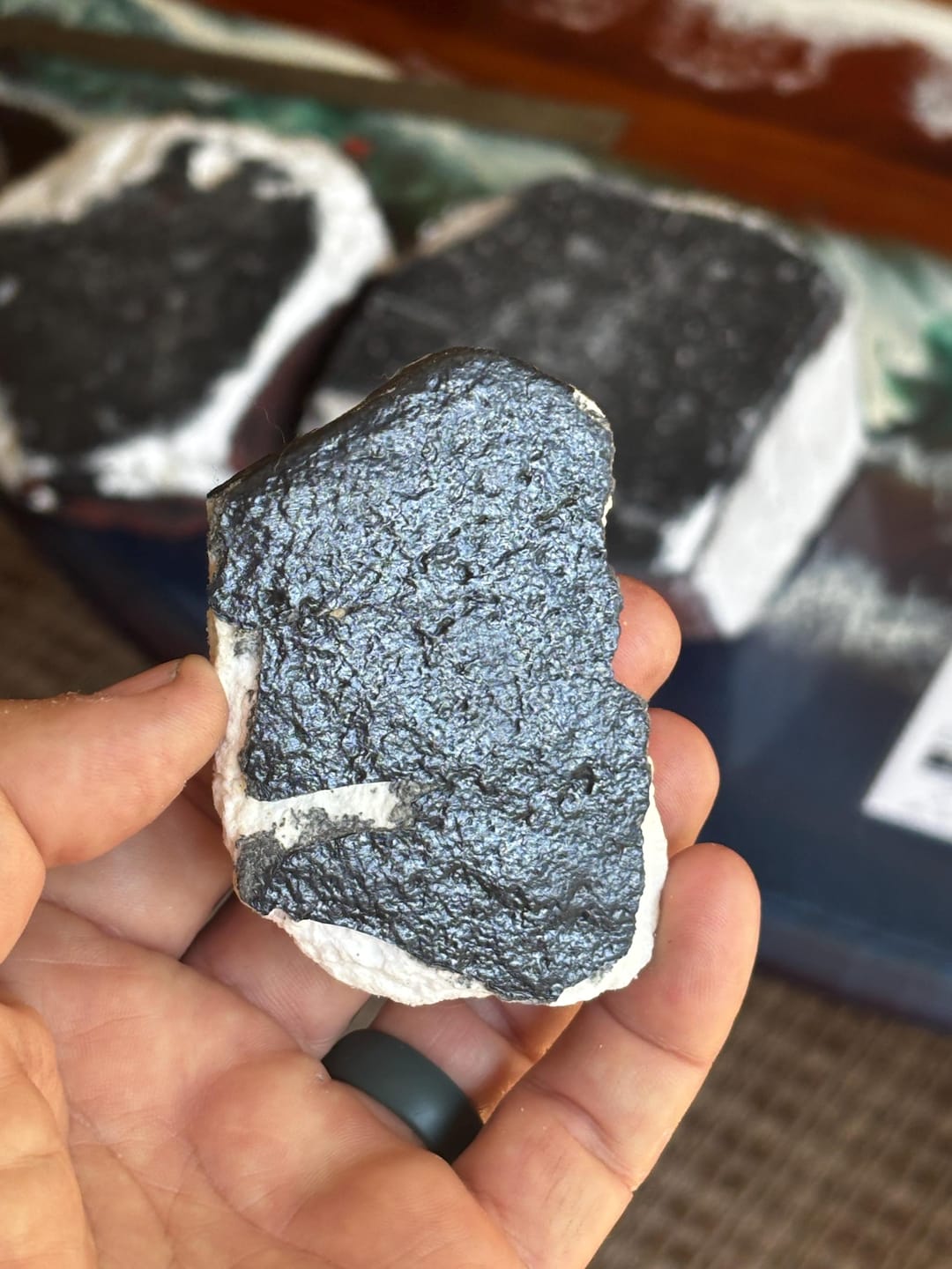 Spacex Starship Heat Tile Glossy Partial Thin Hex From Flight 7 Ship 33 ...