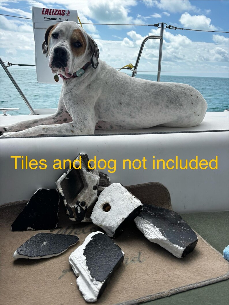 Spacex Starship Tile Partial Hexagon Center From Flight 7 Ship 33 ...