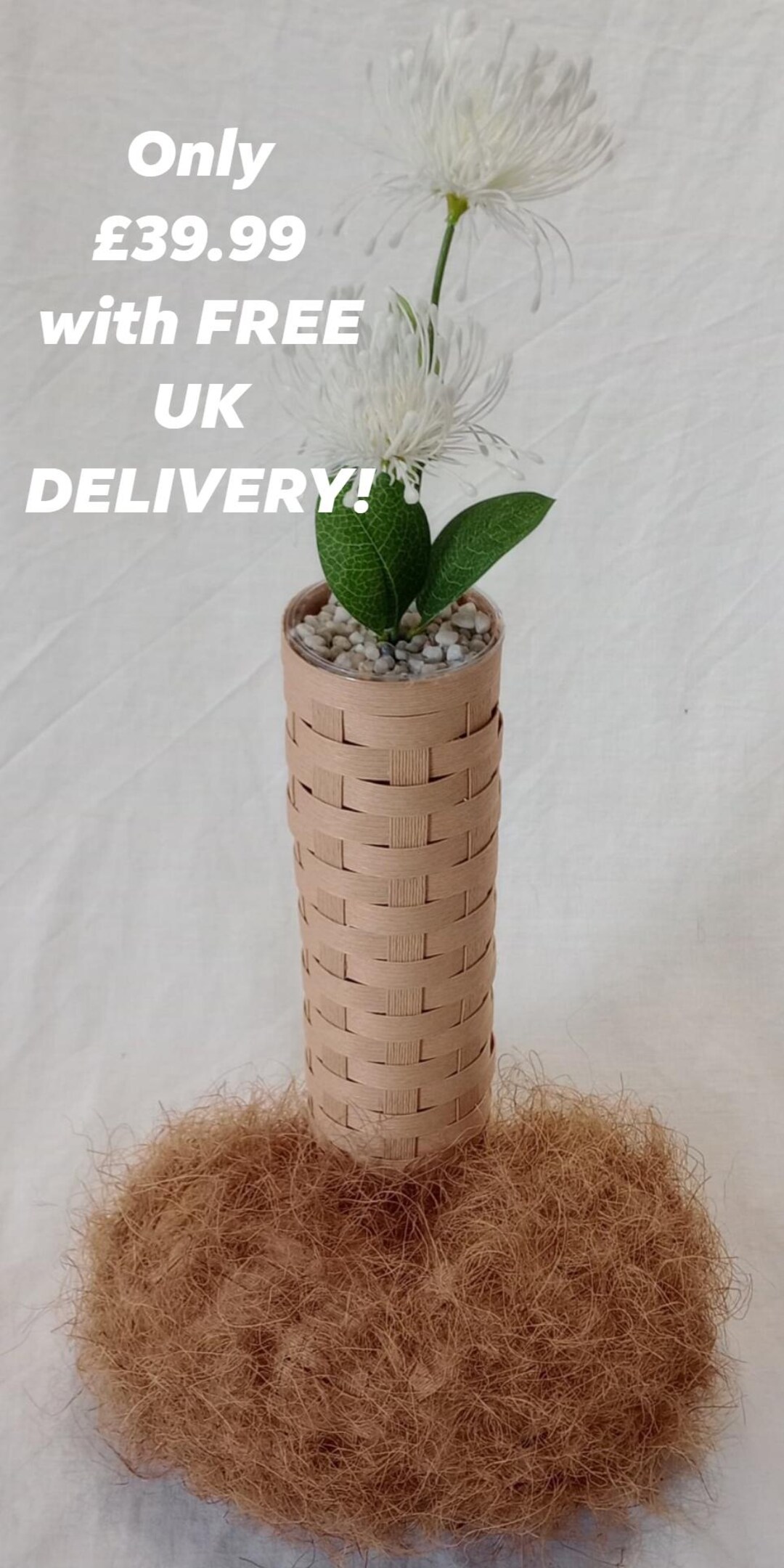 Phallic Plant Pot Hen Do Decor Funny Gag Gift for Bride Groom Rude ...