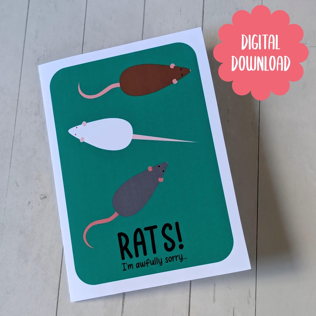 Cute Apology Card - Rats! I'm Awfully Sorry... - Light-hearted Sympathy ...
