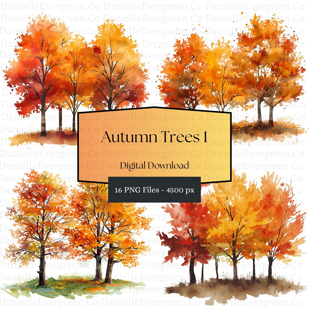 16 TRANSPARENT PNG, Autumn Trees Digital, Fall Trees Clipart, Autumn ...