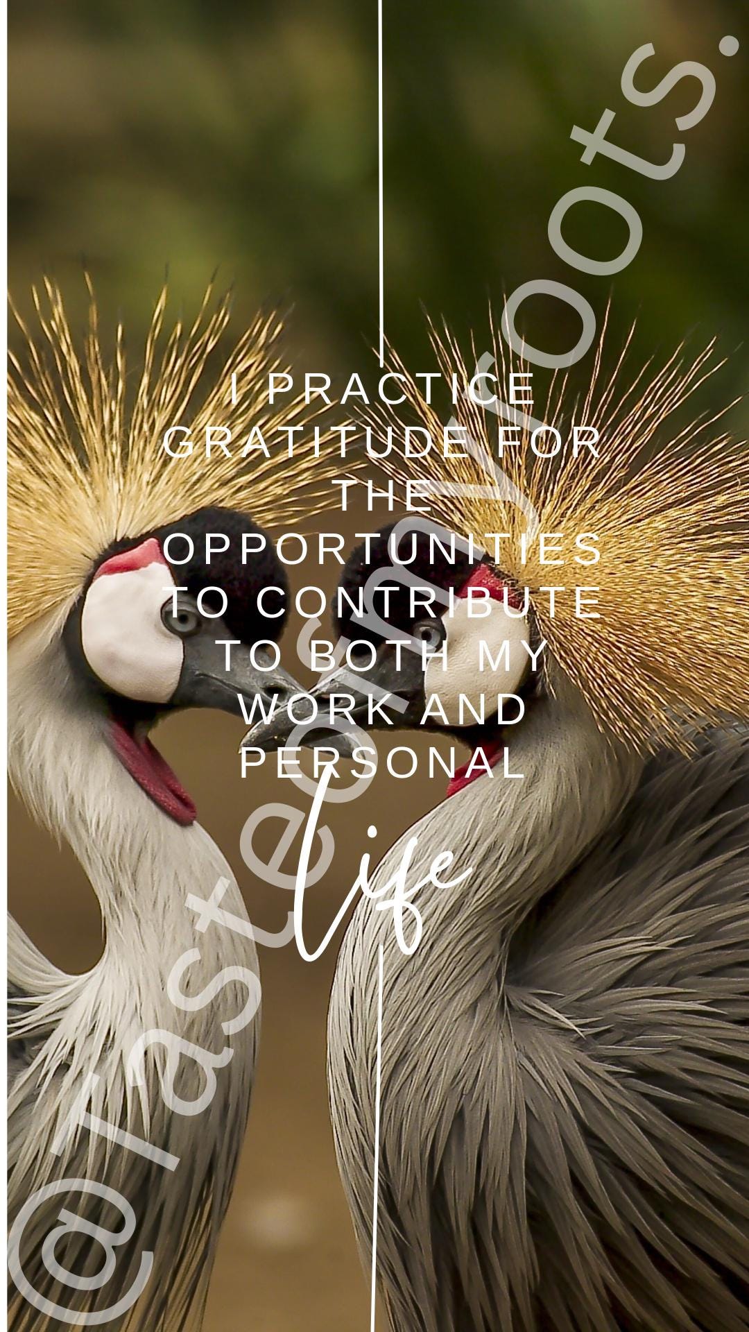 Afrocentric Work-life Balance Wallpaper Template: Canva Design (digital ...