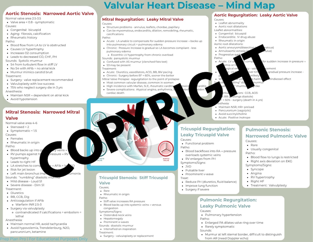Valvular Heart Disease Mind Map | Nursing & CRNA Study Guide PDF - Etsy