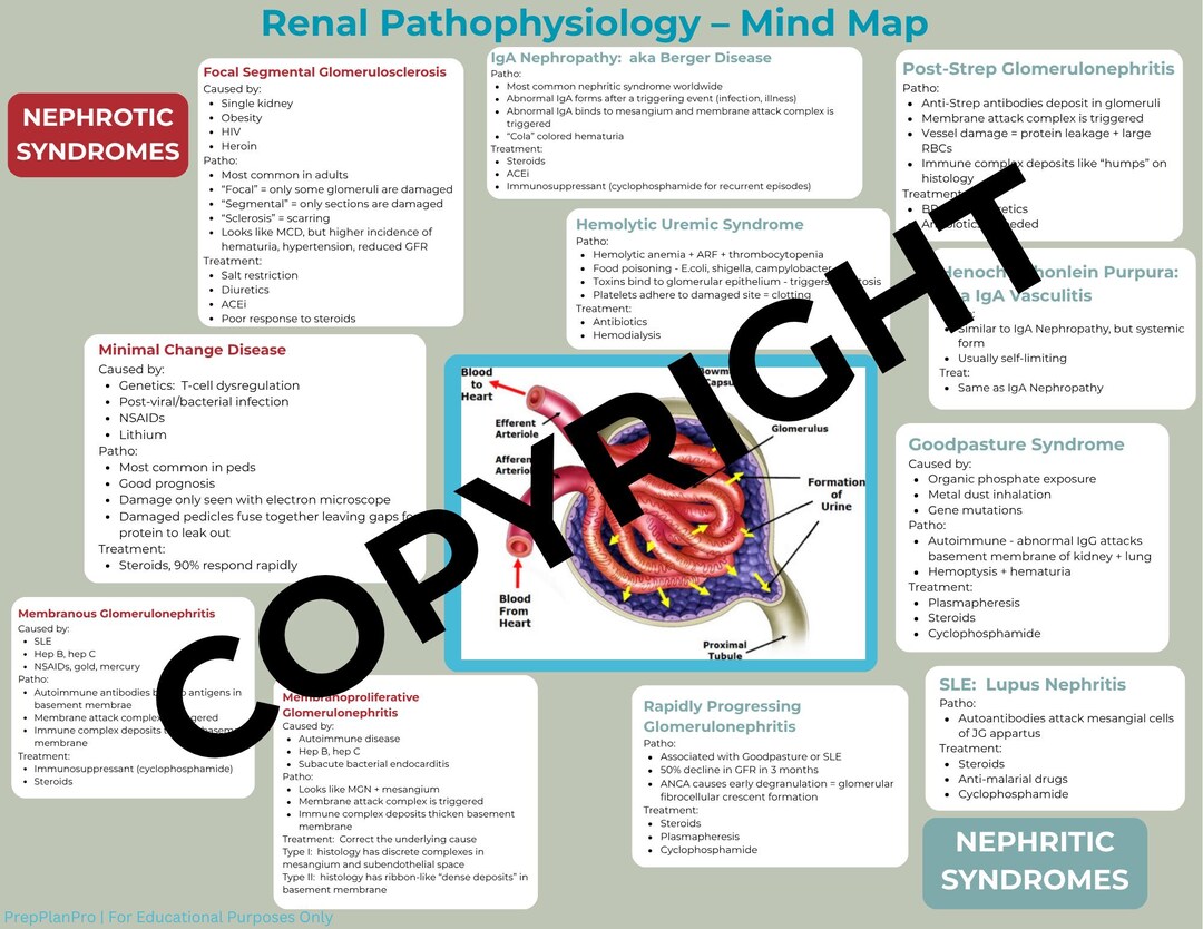 Renal Patho & Pharmacology Mind Map Set | Digital Nursing PDF - Etsy
