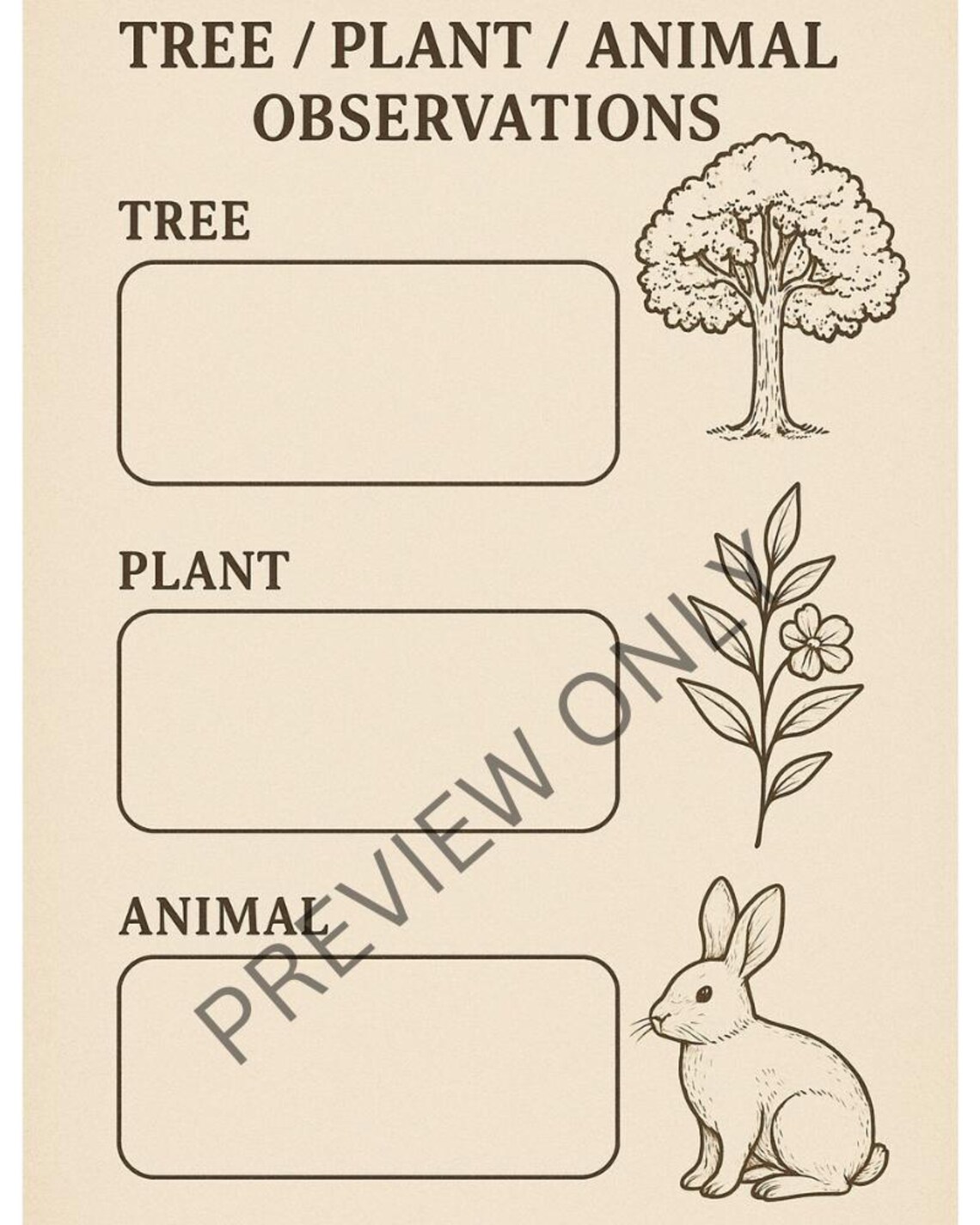 Nature Activity Printables for Kids – 5 Page Outdoor Learning PDF ...