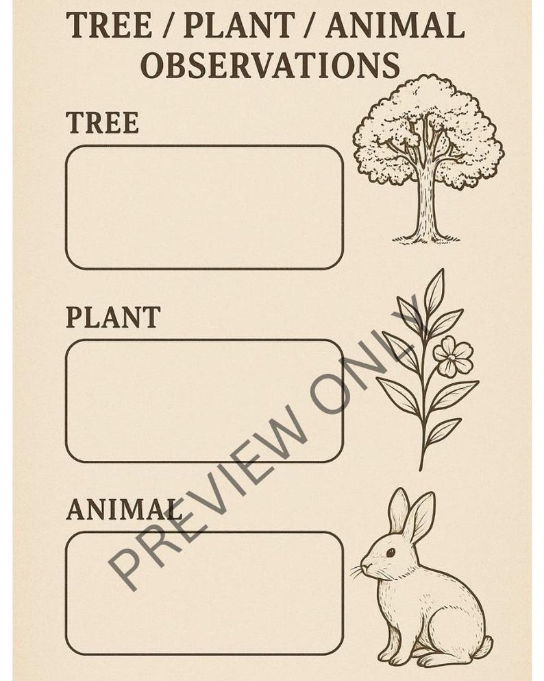 Nature Activity Printables for Kids – 5 Page Outdoor Learning PDF ...
