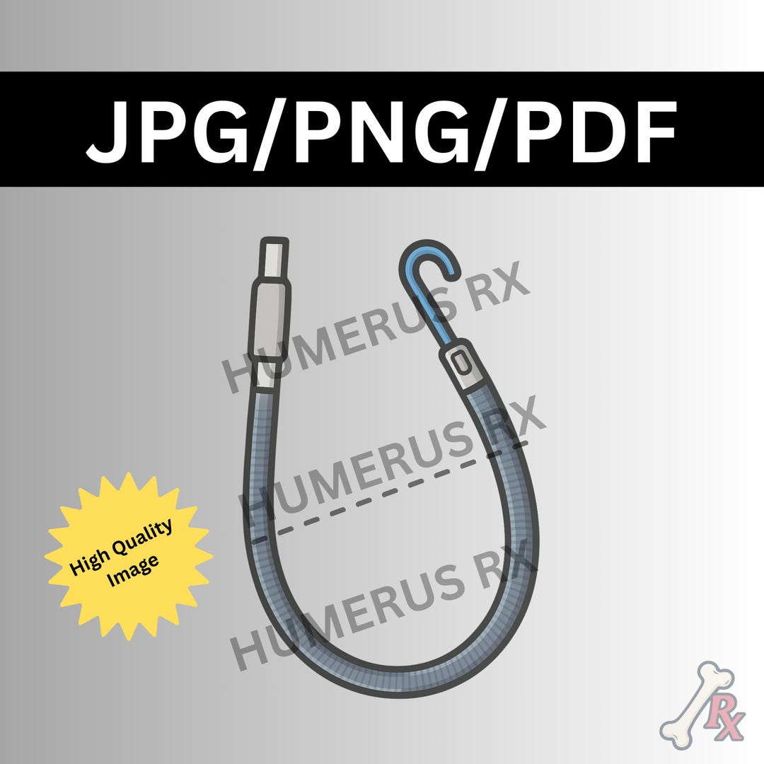 Impella Catheter Illustration: Cardiology Clip Art (digital Download ...