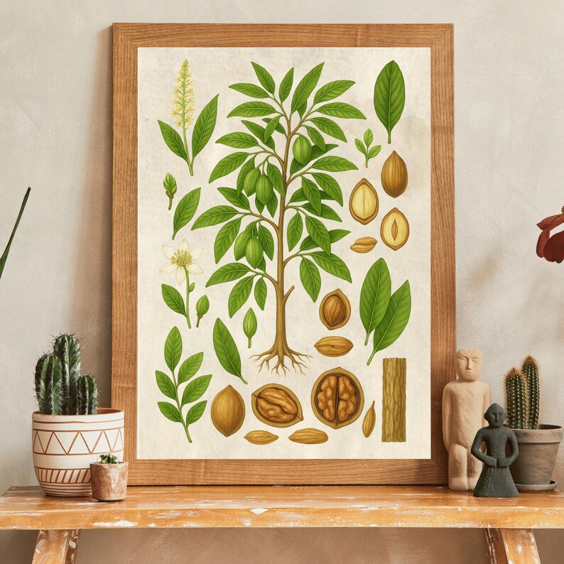Pecan Nuts Food Art Print, Botanical Wall Art Print, Vintage ...