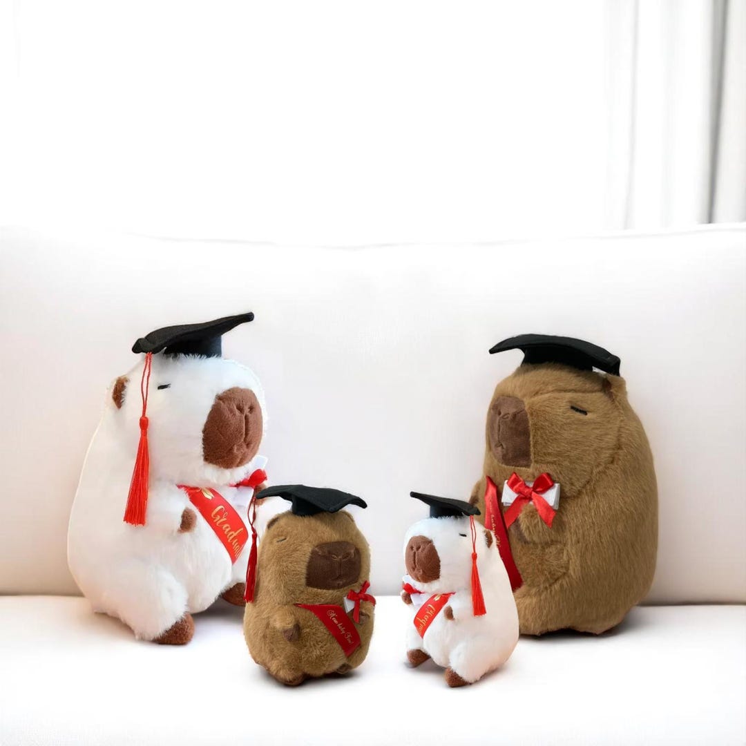 Graduation Capybara Plush Toy With Strap - Cute Kawaii Capybara Gift ...