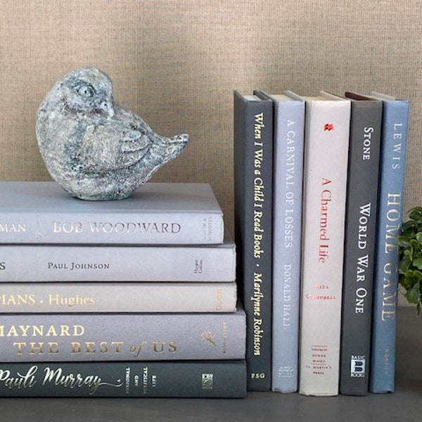 White Decorative Books - Etsy