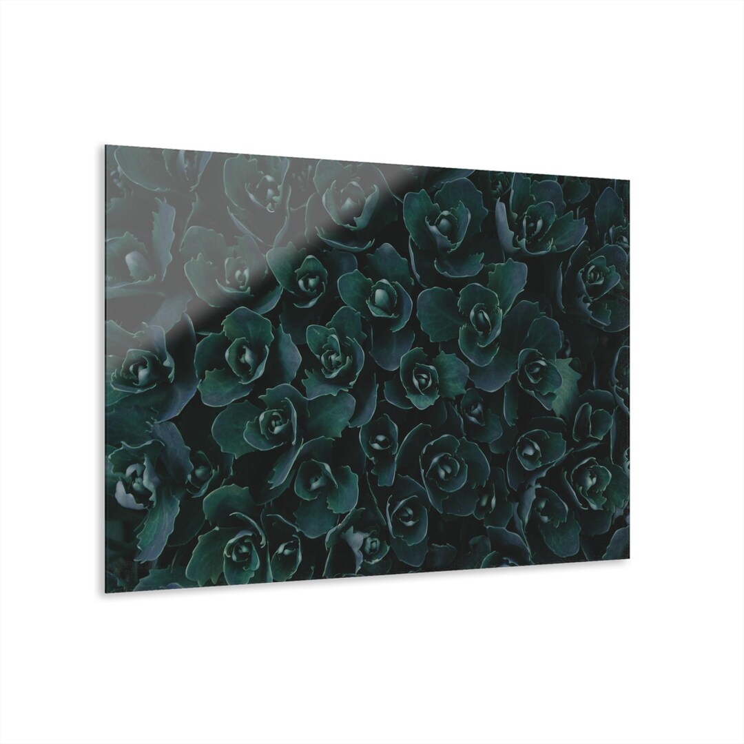 Acrylic Floral Wall Art: Modern Home Decor Print - Etsy