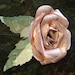 Vintage Monopoly Money Pink Rose Paper Flower With Green Leaves ...