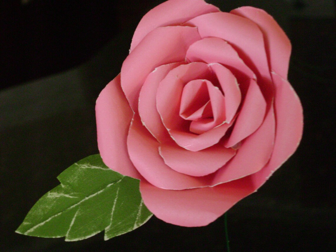 Long Stemmed Single Hot Pink Paper Rose With Green Leaf Made - Etsy