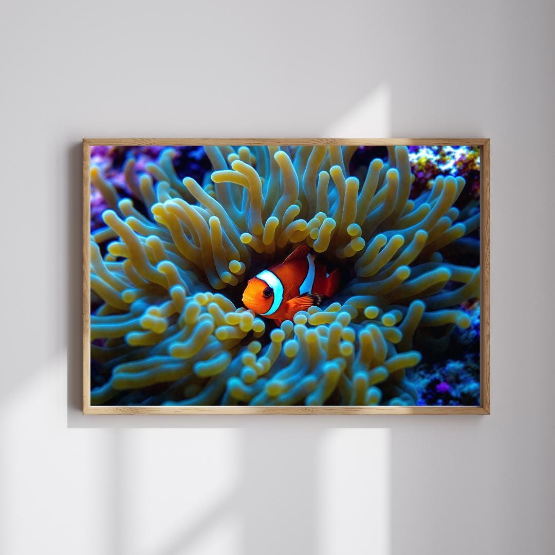 Clownfish Fish Wall Art, Aquarium Decor, Clownfish Print, Coral Reef ...