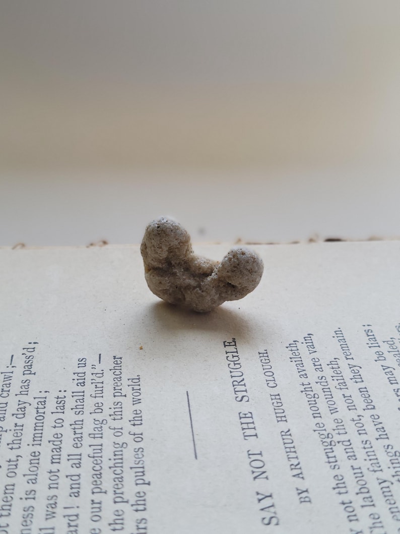 Australian Fulgurite: Petrified Lightning. Geology Rock Collecting - Etsy