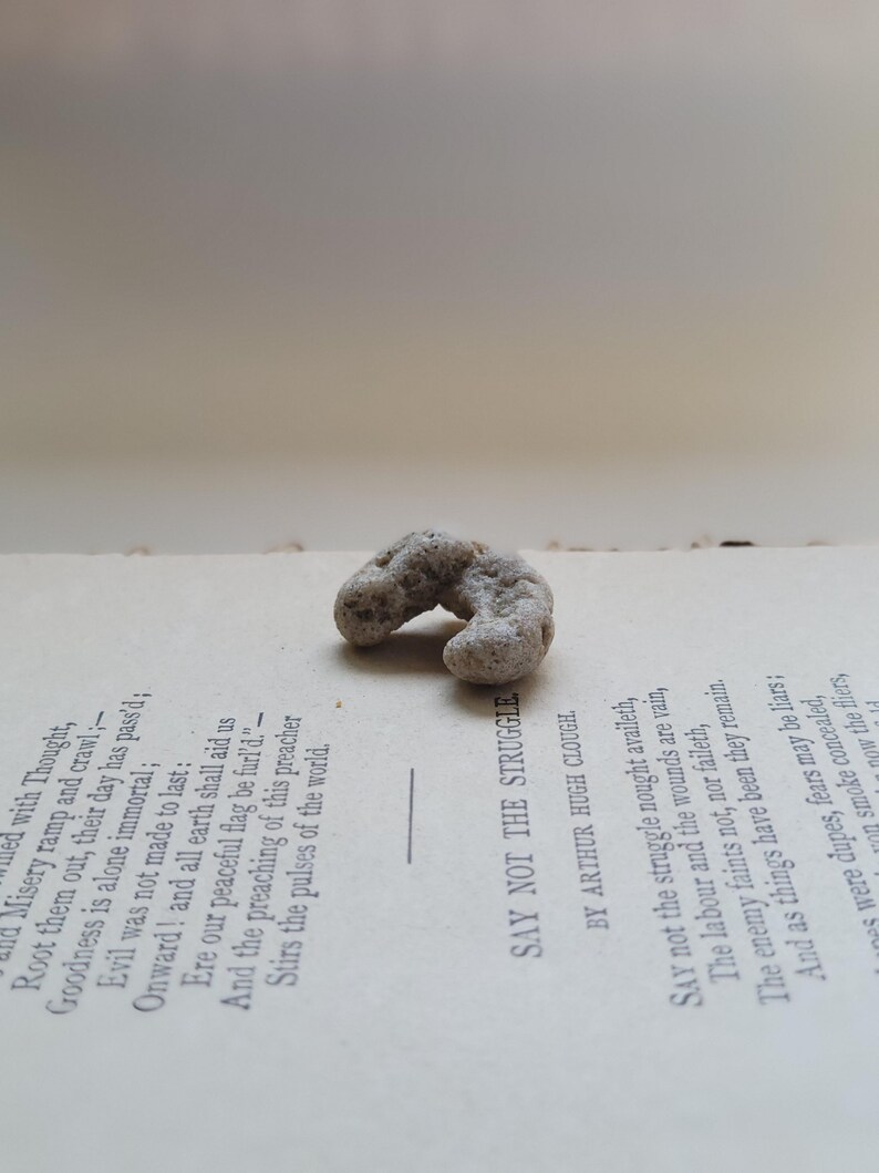 Australian Fulgurite: Petrified Lightning. Geology Rock Collecting - Etsy