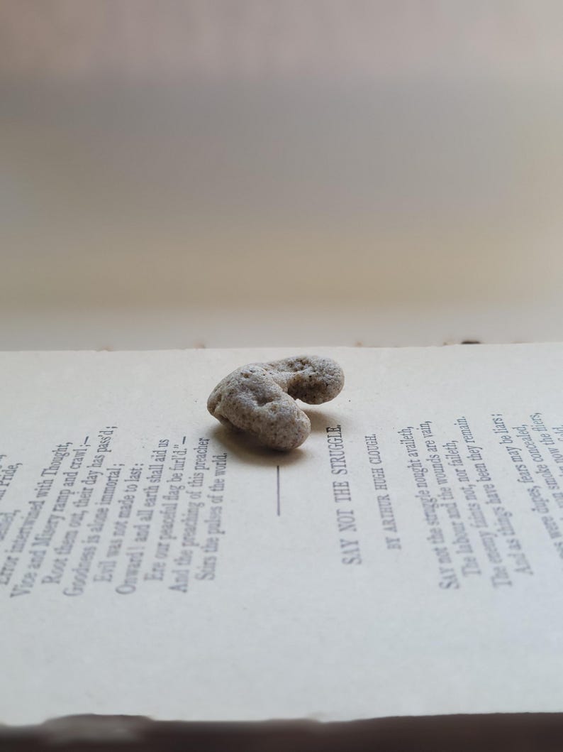 Australian Fulgurite: Petrified Lightning. Geology Rock Collecting - Etsy