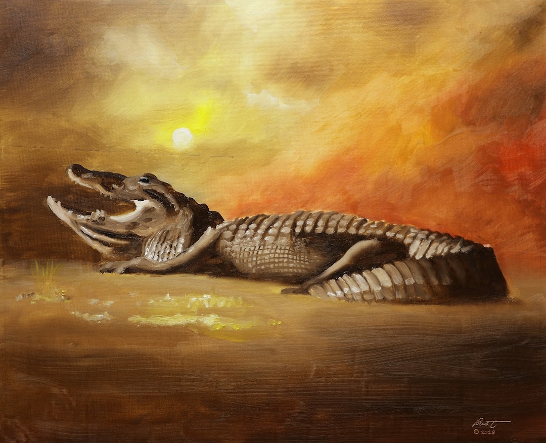 GATOR, Wildlife, Alligator. Oils on 16" X 20" (41 X 51 Cm) Canvas ...