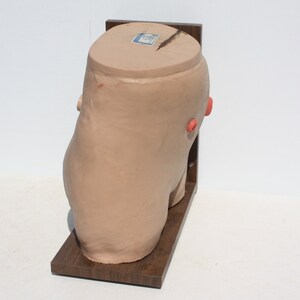 Vintage Tranex Colonoscopy Training Simulator Mannequin Manikin Medical ...