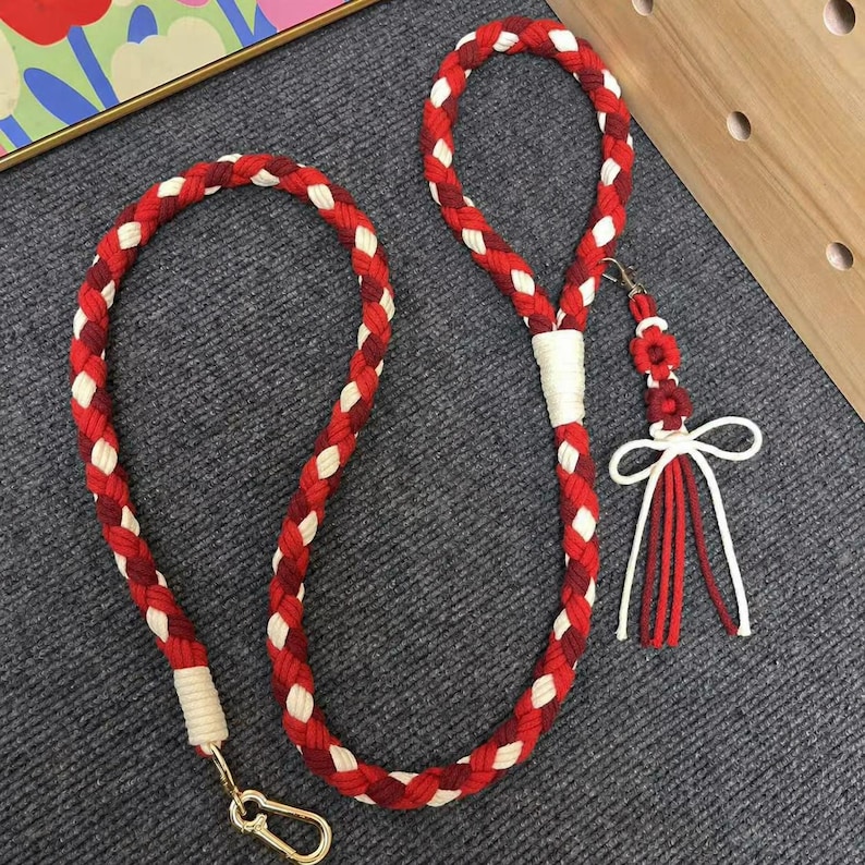 Aesthetic Braided Dog Leash Handmade Pet Lead With Floral Decoration ...