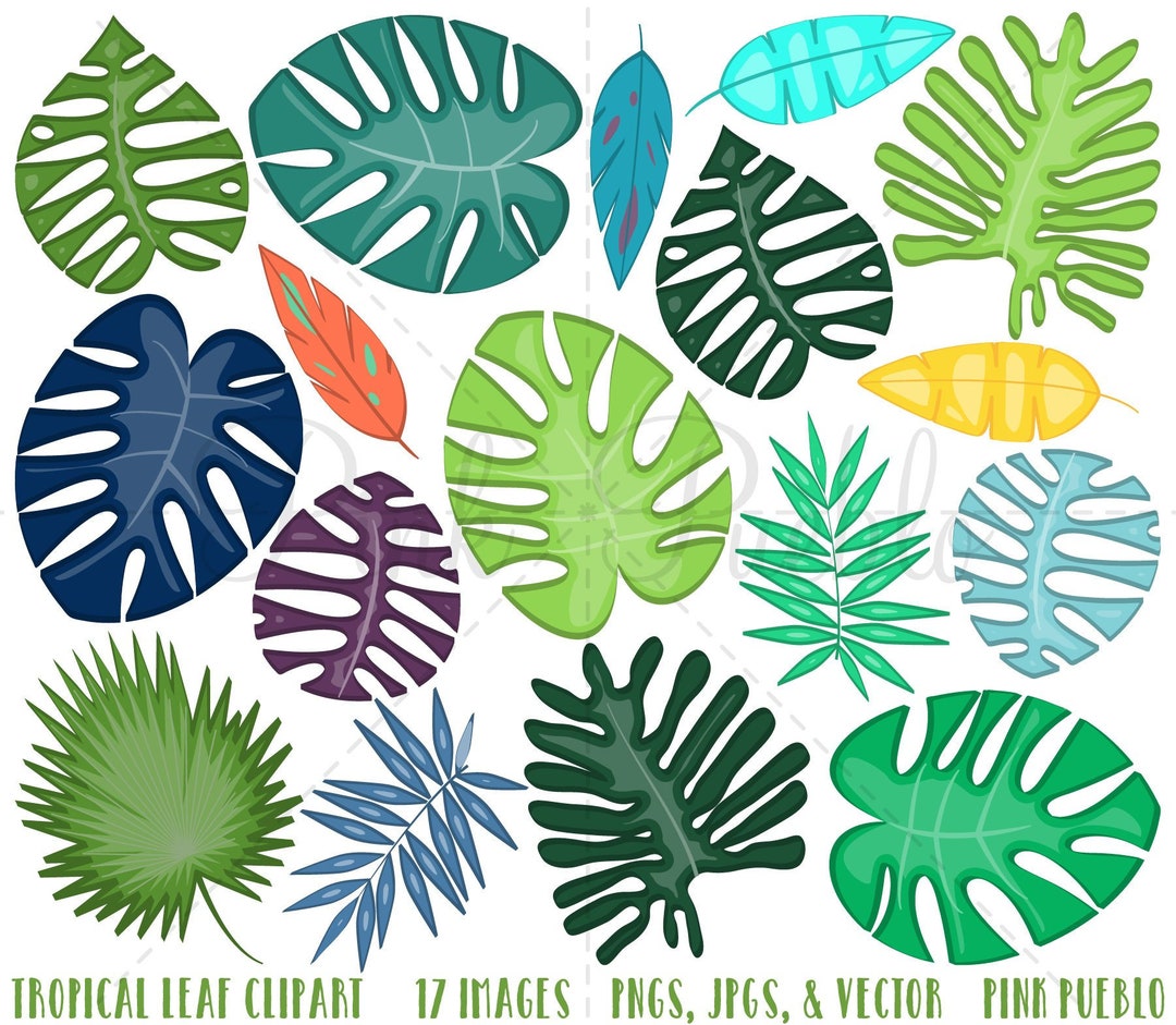 Tropical Leaves Clipart, Tropical Leaf Clipart - Commercial and ...
