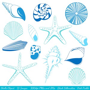 Shells Clipart Clip Art Ocean Beach Summer Clipart Clip Art - Etsy