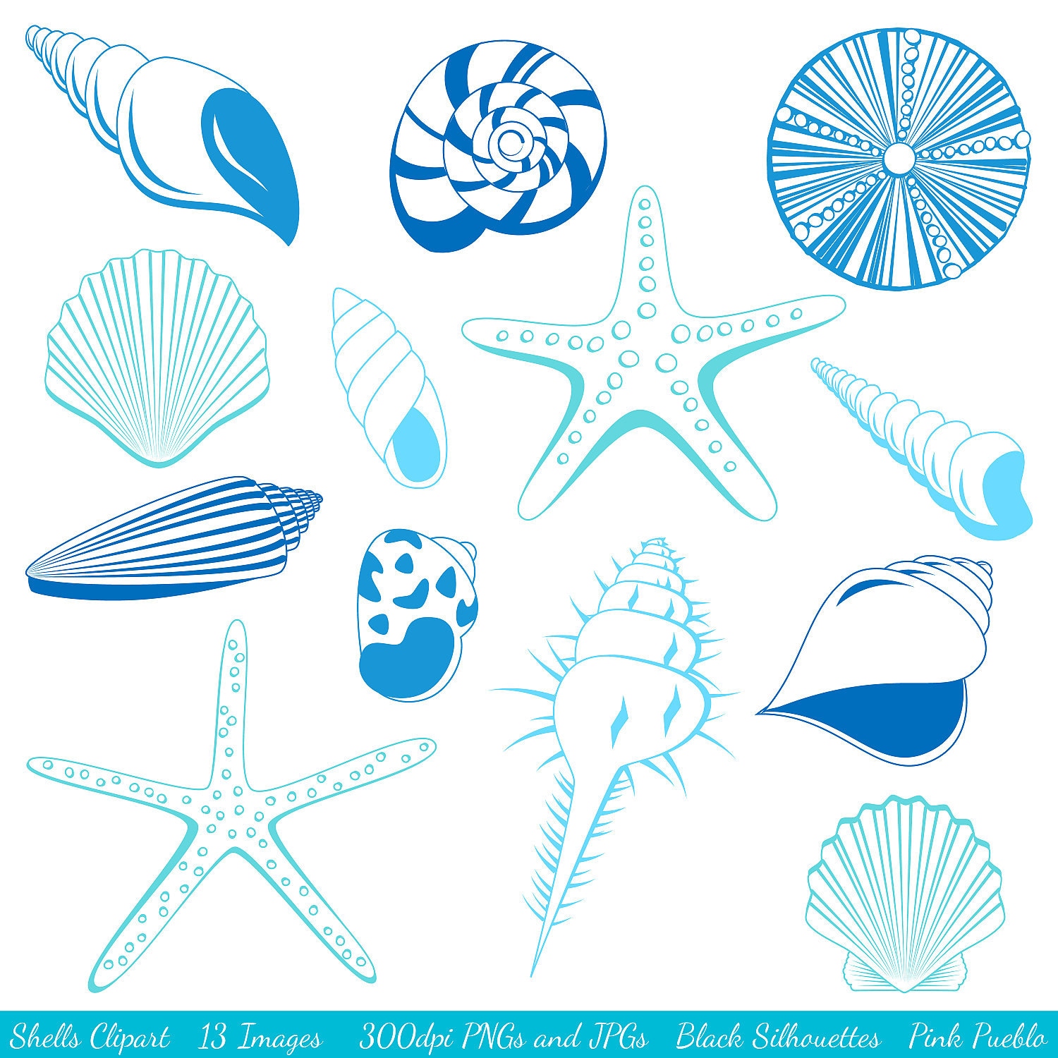 Shells Clipart Clip Art Ocean Beach Summer Clipart Clip Art - Etsy