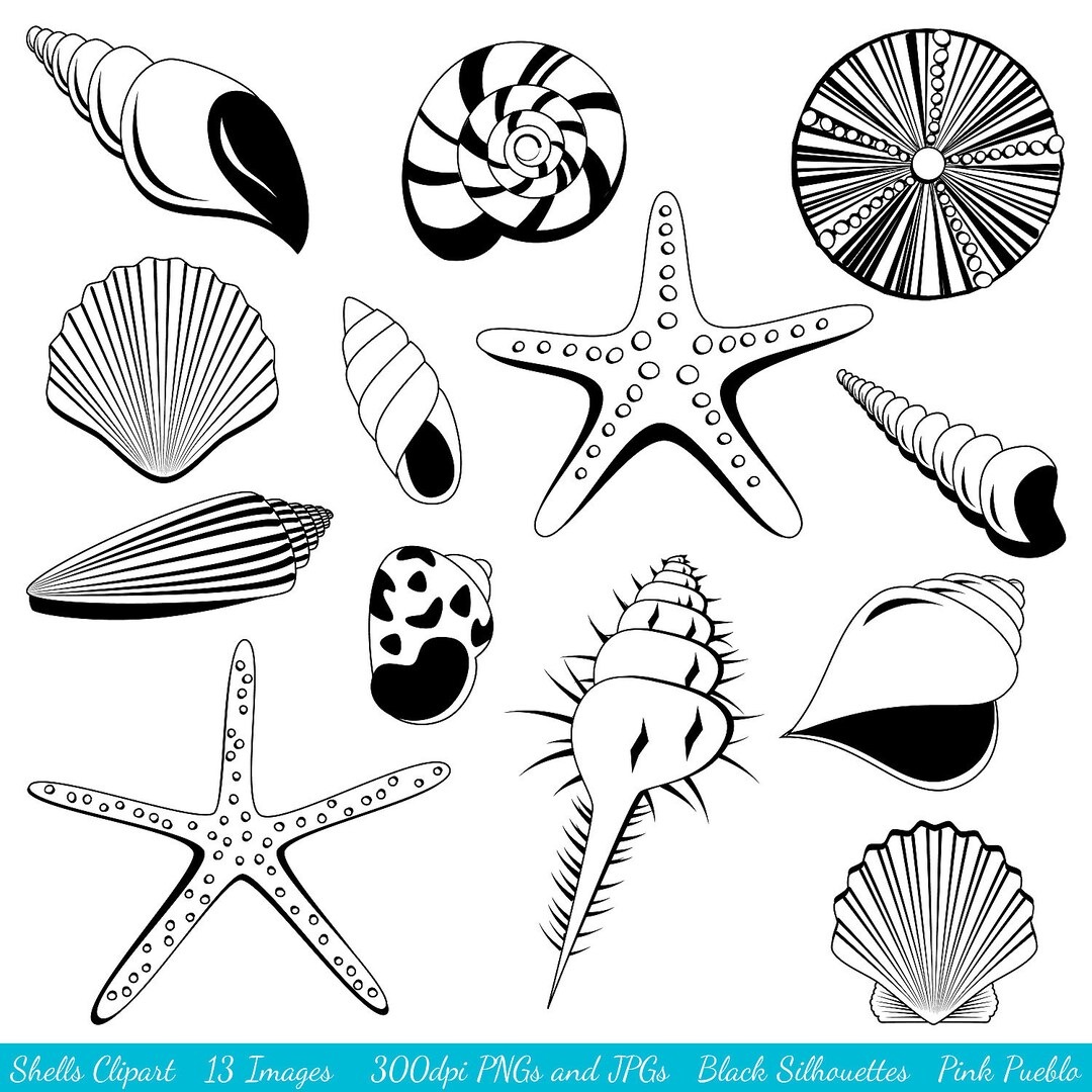 Shells Clipart Clip Art, Ocean Beach Summer Clipart Clip Art ...