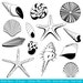Shells Clipart Clip Art, Ocean Beach Summer Clipart Clip Art ...