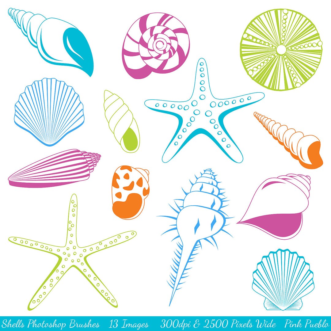 Shells Photoshop Brushes, Ocean Beach Summer Sea Photoshop Brushes ...
