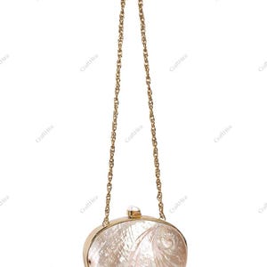 Real Abalone Iridescent Seashell Purse | Natural Mini Golden Shell ...