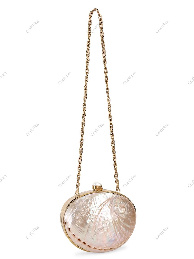 Real Abalone Iridescent Seashell Purse | Natural Mini Golden Shell ...