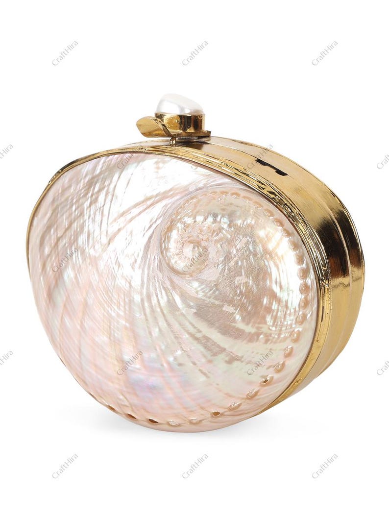 Real Abalone Iridescent Seashell Purse | Natural Mini Golden Shell ...