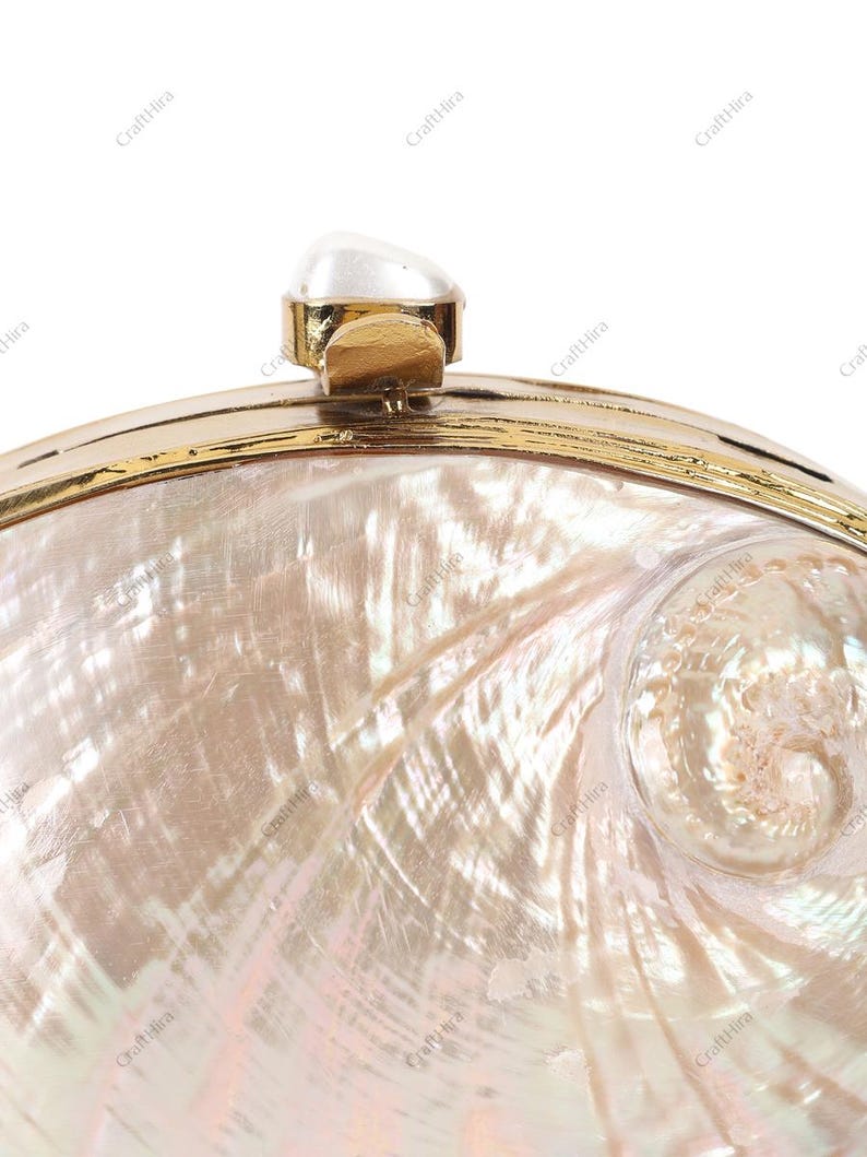 Real Abalone Iridescent Seashell Purse | Natural Mini Golden Shell ...