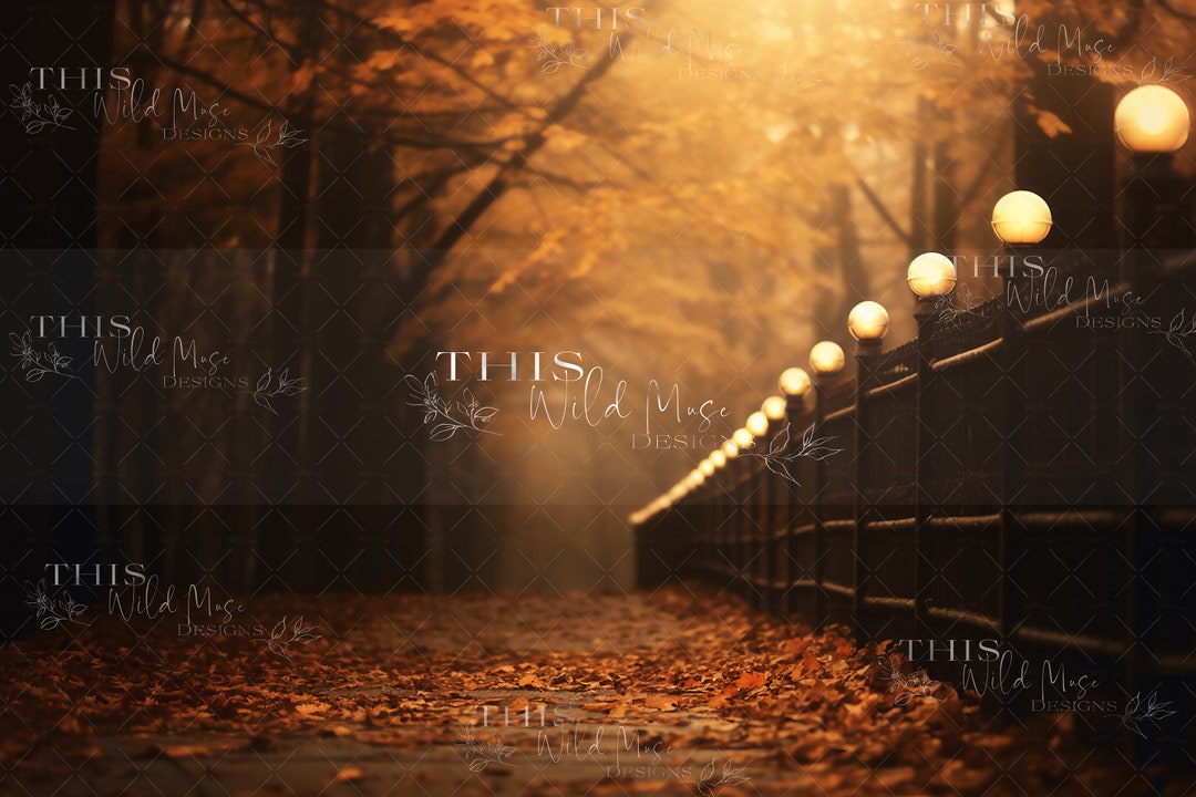 Fall Walk Digital Background, Autumn, Fall Tones, Autumn Park, Fall ...