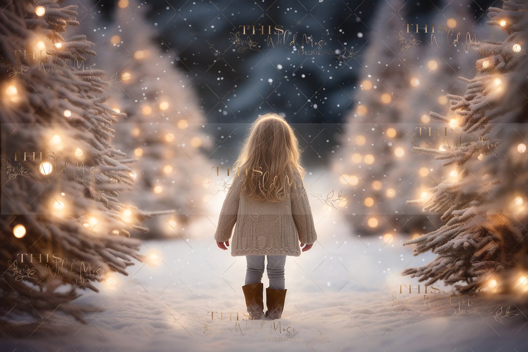 Holiday Snow Path Digital Background, Christmas Digital Backdrop, Snowy ...
