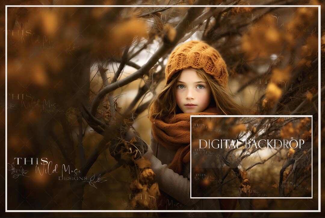Hint of November Digital Backdrop, Autumn Tones, Fall Scene, Fall ...