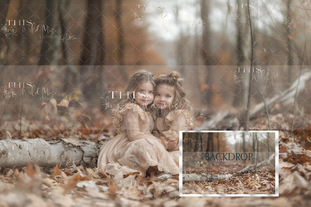 Soft Fall Path Digital Backdrop, Muted Fall Tones, Fall Forest ...