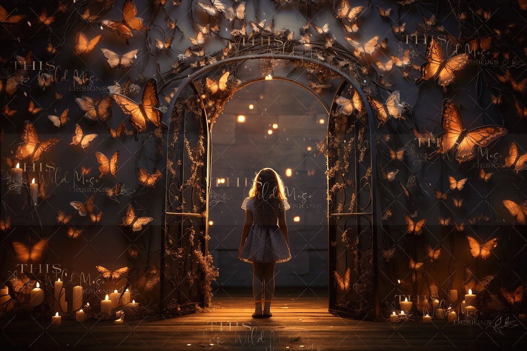 Butterfly Fantasy Digital Backdrop, Magical Lights Digital Background ...